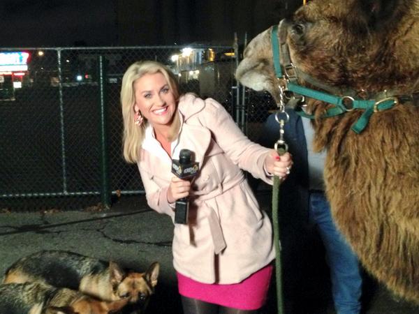 5 things you didn't know about Hayley Guenthner | krem.com