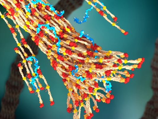 UW research: Injectable polymer could save bleeding patients | krem.com