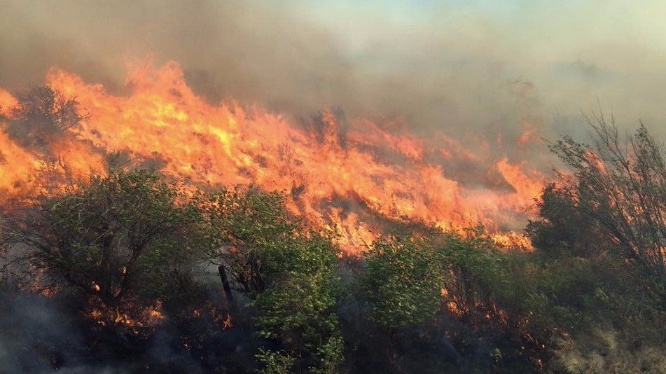 3 WSU students charged in connection with starting wildfire | krem.com