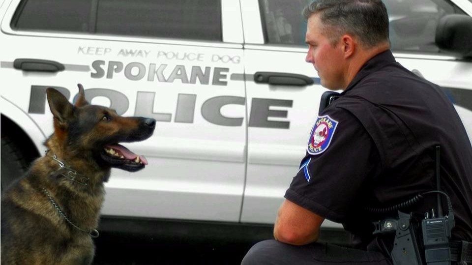 Former Spokane PD K9 laid to rest | krem.com
