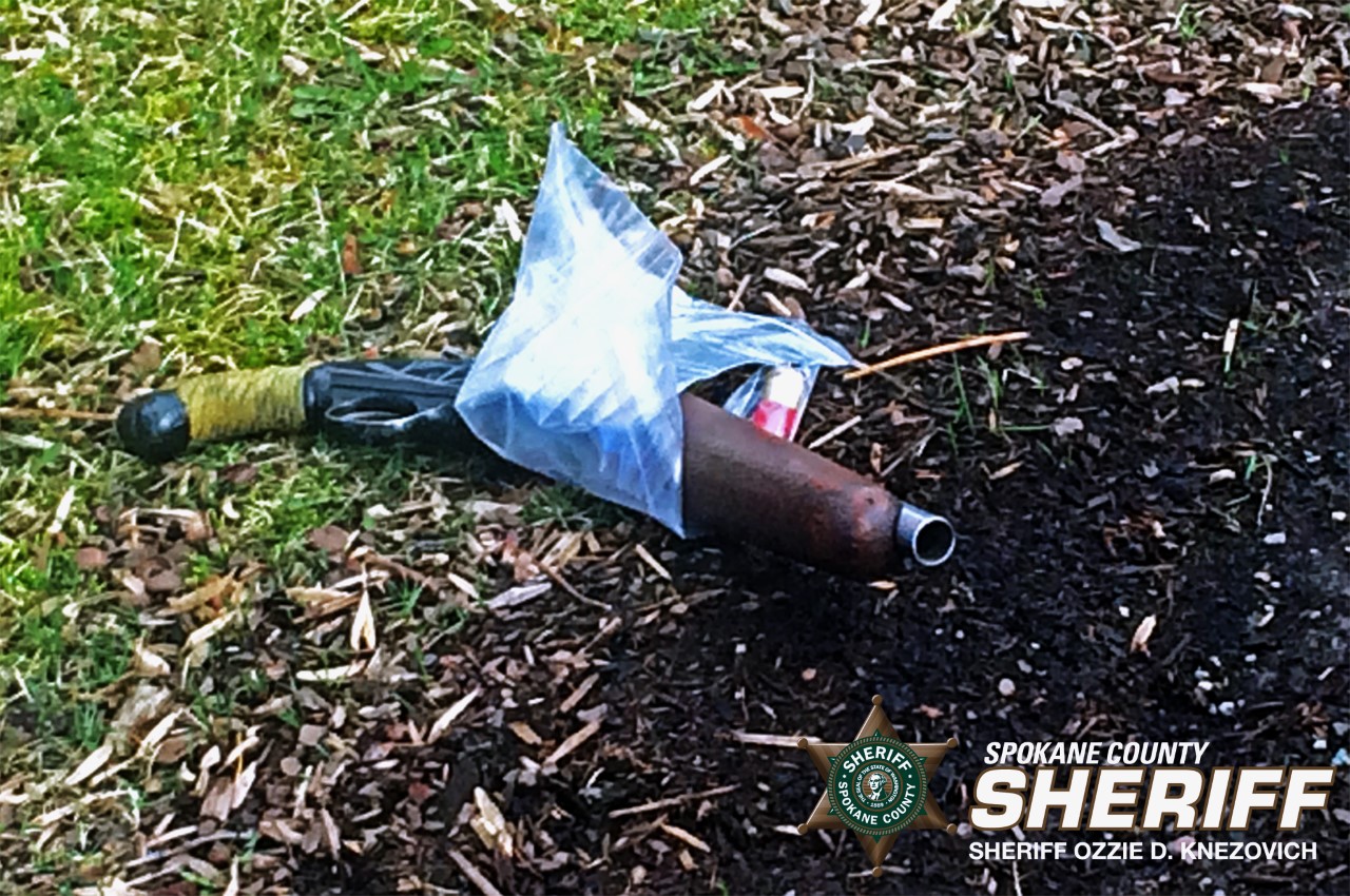 Juvenile calls cops 'pigs' after pointing shotgun at deputy | krem.com