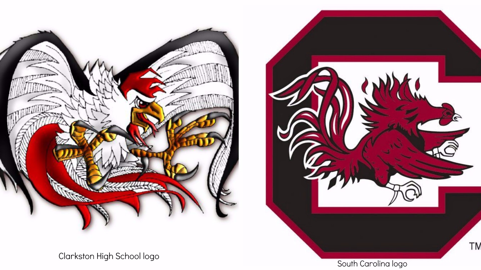 Clarkston High School Logo