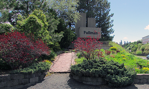 Pullman ranked in top 10 best college towns in the West | krem.com