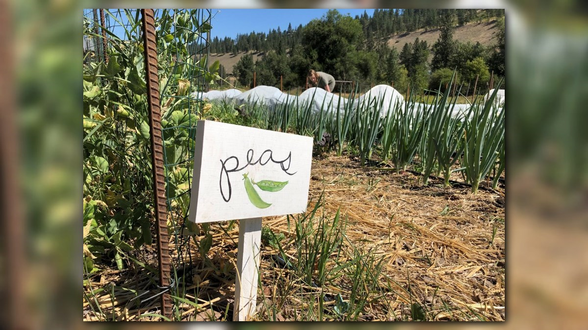 Food for All Farm near Spokane plants seed of inspiration for aspiring ...